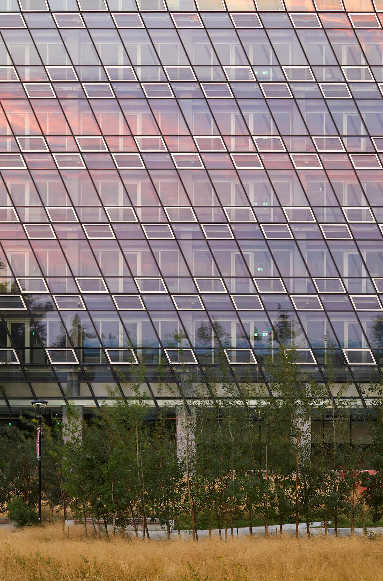 DIALOG’s MacKimmie Complex features a double glass curtain wall